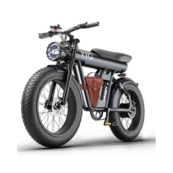 FREEGO ELECTRIC BIKE - PEDAL E POWER